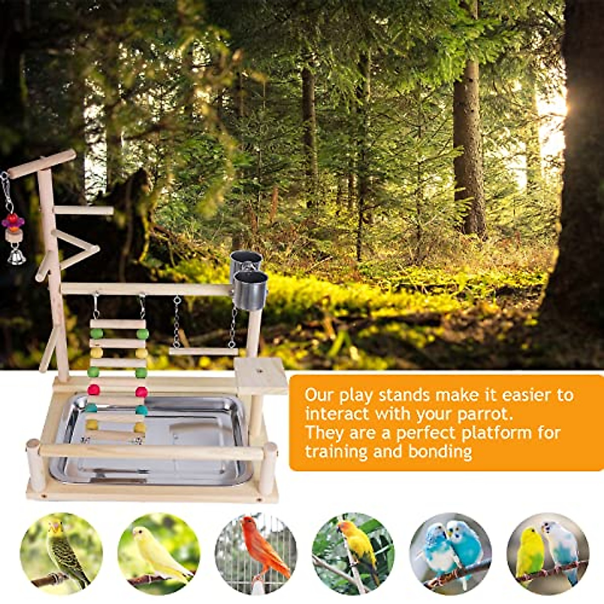 Fantasyday Bird Play Stand, Natural Wooden Bird Playground Birds Gym Bird Toy Accessories with Stainless Steel Feeding Stair Swing for Parrots, Finches # 2