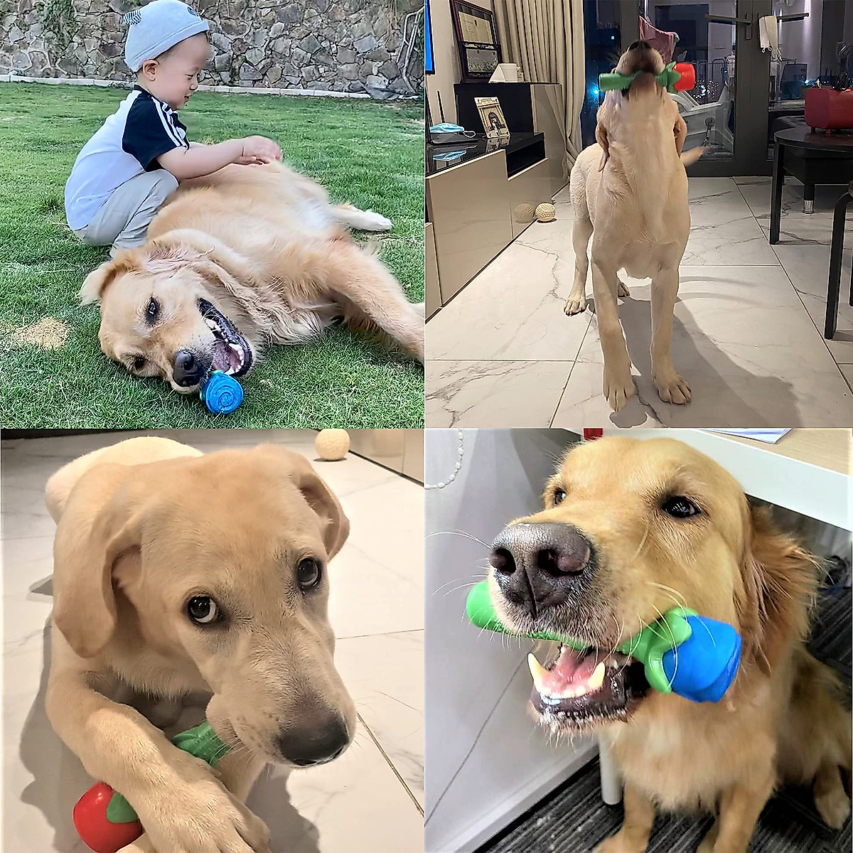 Blingbrione Dog Chew Toys for Large Breed Aggressive Chewers, Puppy Durable Rose Rubber Teething Toys for Small/Medium Dog, Tough Toys for Training and Cleaning, Interactive Dog Valentine's Day Gift