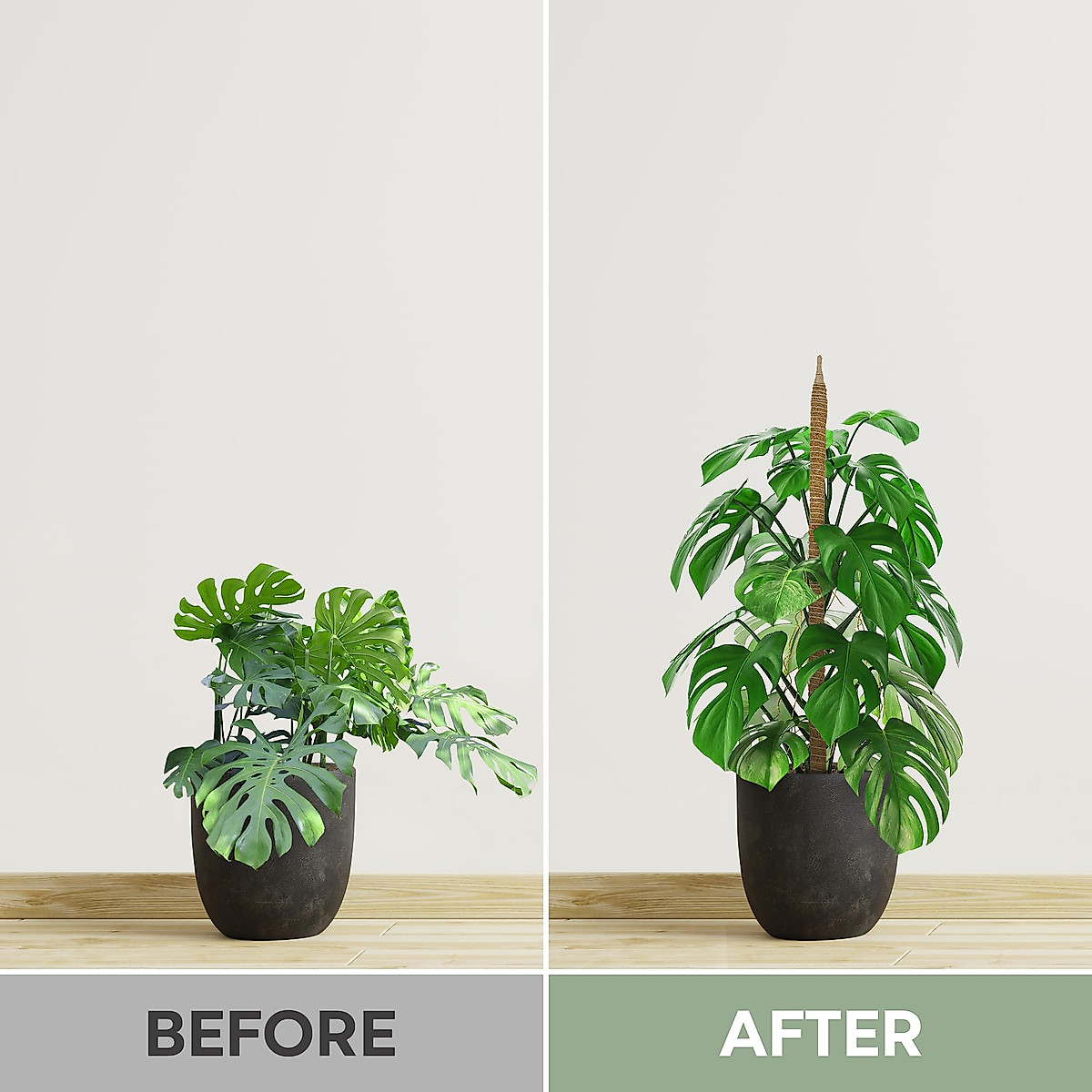 2 Pack Moss Pole - 25'' Bendable Monstera Plant Support - Plant Trellis Moss Pole for Plants Monstera - Moss Poles for Climbing Plants - Plant Sticks Support Plant Stakes for Indoor Plants Potted