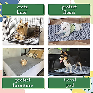 Washable Pee Pads for Dogs, Reusable Pee Pads for Dogs, Washable Puppy Pads, Dog Pee Pads Washable, Whelping Pad, Reusable Puppy Pads, Waterproof Dog Mat for All Breeds, Dog Pee Mat by Caldwell's