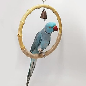 Hanging Bird Cage Swing Toy Natural Bamboo Parrot Perch Swing Hanging Bird Perch with Stand Small Wood Bird Toys Cockatiel Cage Accessory for Finch Budgie Conure (Large)