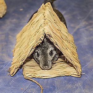 Ware Manufacturing Natural Handwoven Grass Multi-Use Pet Mat for Small Animals