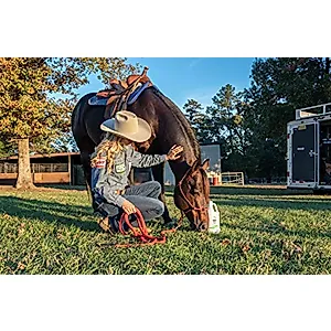 Draw It Out Liniment Gel - Veterinary Strength - Odorless and Colorless - Pain Relief Topical Analgesic Horse Cream for Joint and Muscle Pain - Natural Mineral - 64 oz