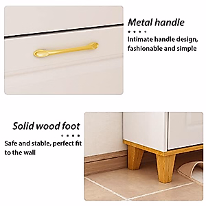 DiDuGo Modern Shoe Storage Cabinet with 3 Compartment & 1 Locker, Shoe Cabinet Organizer for Entryway White-Walnut (47.2”W x 9.5”D x 49.4”H)