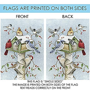 Toland Home Garden 12x18 Inch Double Sided Garden Flag Winter Flag, Winter Birds Winter Garden Flag House Flag For Outdoor Yard Decoration