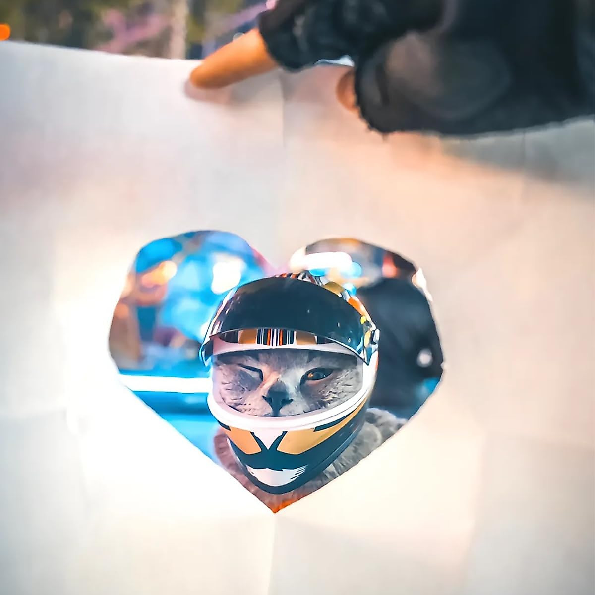 GSYUWIH Pet Motorcycle Helmet,Lightweight and Delicate Puppy Cat Motorcycle Headwear,Portable Pet Head Jewelry for Adult Cats and Puppies Racing Fans Collect Small Gifts