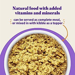 Halo Holistic Vegan Wet Dog Food, Plant-Based Recipe, Canned Dog Food, Complete Digestive Health, Adult Dogs, 5.5 Oz Can (Pack of 12)