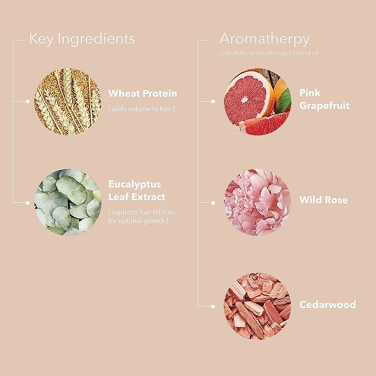 Pureology Pure Volume Conditioner | For Flat, Fine, Color-Treated Hair | Restores Volume & Movement | Sulfate-Free | Vegan | Updated Packaging | 1.7 Fl. Oz. |