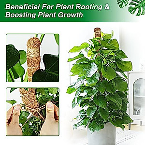 Pechaut 47 Inch Moss Pole for Climbing Plants Monstera, 1 Pack Bendable & Durable Plant Poles for Indoor Plants, Suitable Gift for Plant Lovers