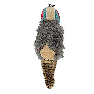 Downtown Pet Supply - Squeaky Dog Toys - Dog Chew Toys for Aggressive Chewers - Hunting Set - Duck, Rabbit, Fox, Racoon & Pheasant Dog Toy - Durable Dog Toys for Small, Medium & Large Dogs - 5 Pack