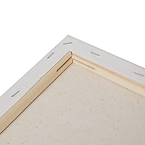 Zingarts Canvases for Painting 9x12Inch 6-Pack,100% Cotton Primed Painting Canvas Panels, Stretched Canvas Boards is for Professionals,Students & Kids, for Acrylic Paint, Oil, Watercolor, Gouache