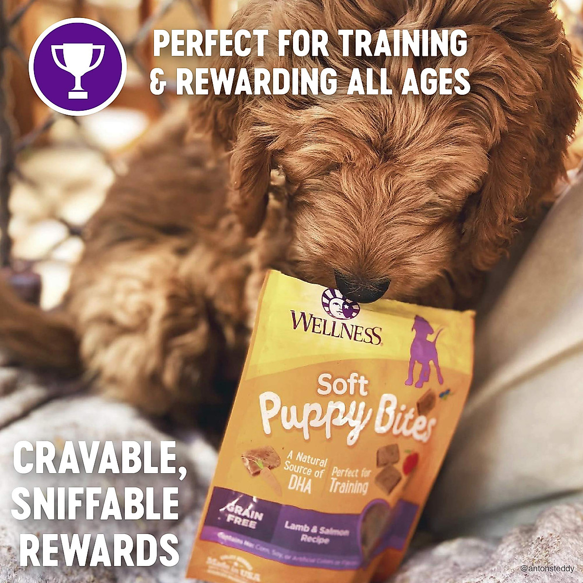 Puppy Pack: Includes Crunchy Puppy Treats And Soft Puppy Treats