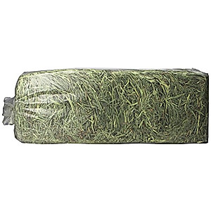 Timothy Gold Hay, 5Lb, Blue