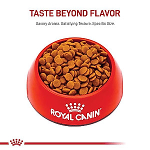 Royal Canin Small Digestive Care Dry Dog Food, 17 lb bag