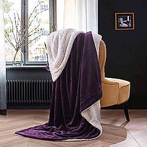 NANPIPER Sherpa Blanket Twin Thick Warm Blanket for Winter Bed Super Soft Fuzzy Flannel Fleece/Wool like Reversible Velvet Plush Blanket (Purple Twin Size 60"x80")