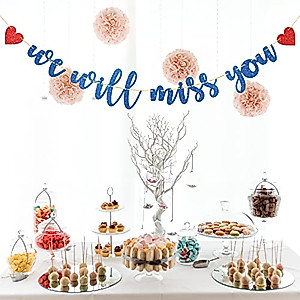 Dalaber We Will Miss You Banner for Retirement,Farewell Party,Going Away Party Decorations - Goodbye Themed Party Decoration Supplies - Blue