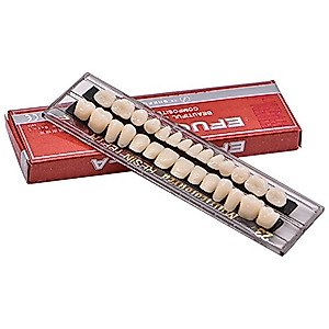 Angzhili Dental Acrylic Resin Denture Tooth Kit False Tooth For Halloween Horror Prop 23 A2(28 Pcs/Set)