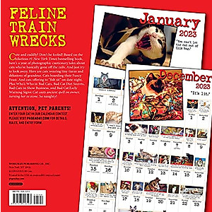 Bad Cat Wall Calendar 2023: Celebrating the Misfits of the Feline World