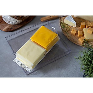 Pikanty American Sliced Cheese Holder | Airtight Storage Container for Fridge | Hinged Lid | Dishwasher Safe | Holds 24 Slices | Made in USA