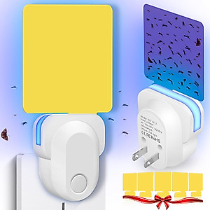 Flying Insect Trap Plug-in – Indoor Gnat Trap with UV Light & Sticky Pads – Non-Toxic Fly Catcher for Gnats, Moths, and Flies – Blue Bug Light Trap with 5 Sticky Pads – 1 Pack (White)