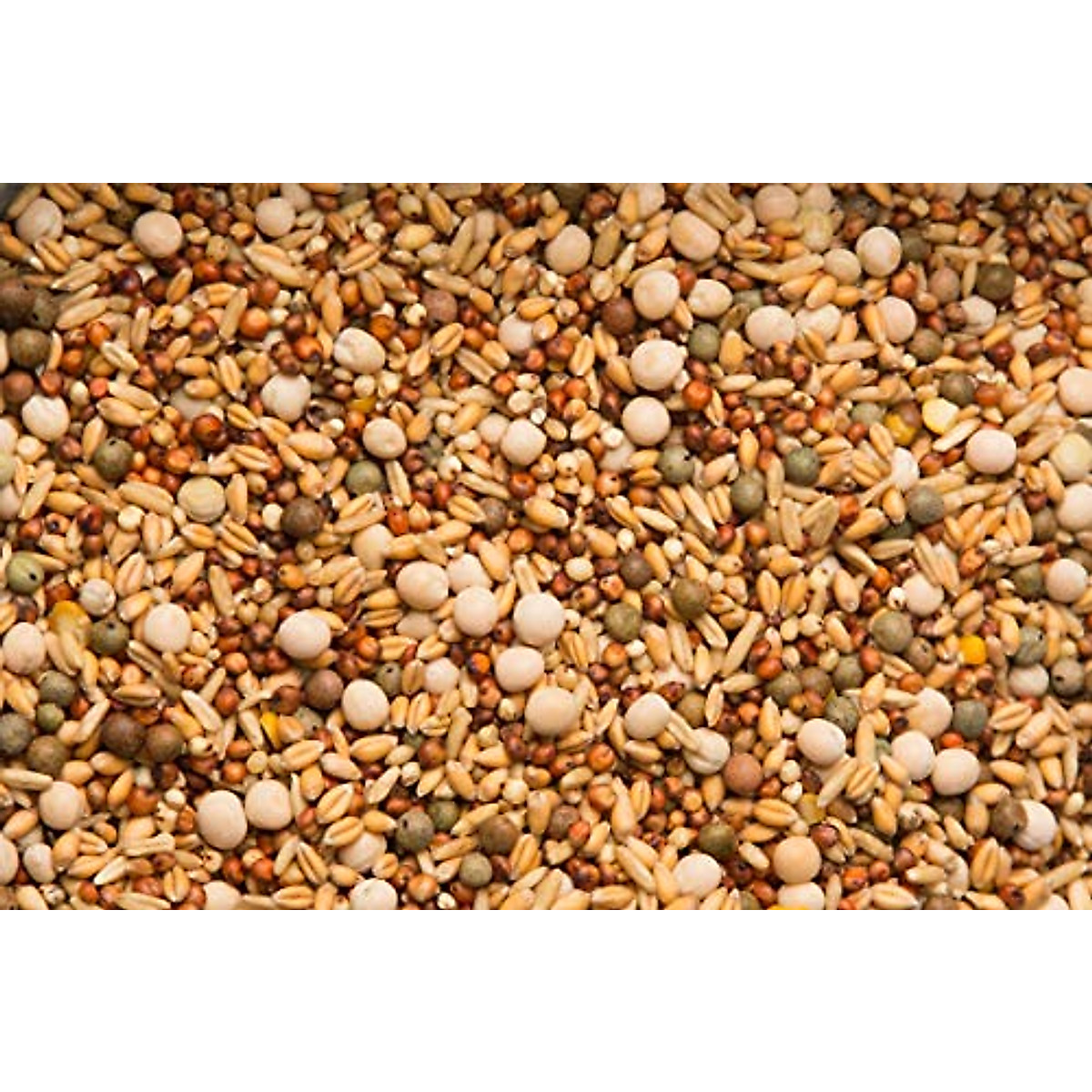 Purgrain Daily 14% no corn–50 lb bag