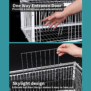 TRAGLO Chicken and Bird Trap Cage, Humane Live Animal Trap Cage with One-Way Entry Door, Metal Control Pigeon Trap with Escape-Proof Design 2CM Encryption Spacing, Easy Assembly (Size : 100x60x26cm)