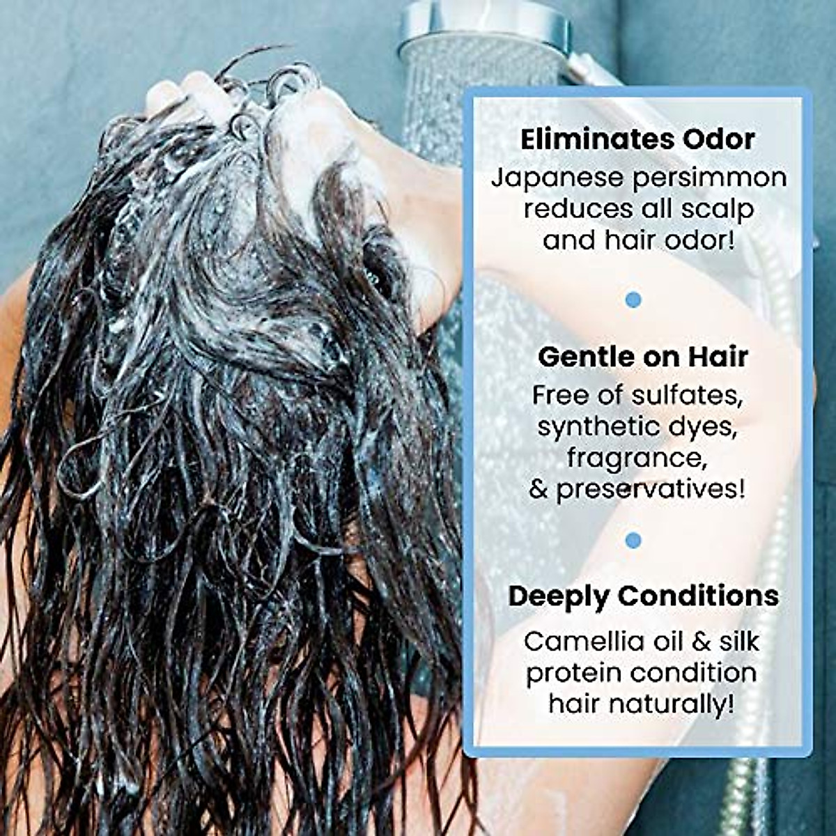 Hair Shampoo for Women & Men | Sulfate Free Shampoo with Japanese Persimmon Formula Eliminates Hair Odor & Hydrates Dry Hair | 13.5 oz