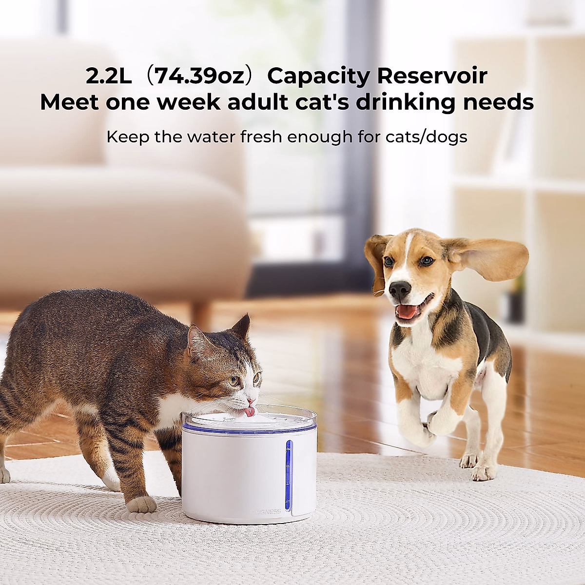 Ultra Quiet Cat Fountain, 25dB Pet Water Dispenser (White, 2.2L)