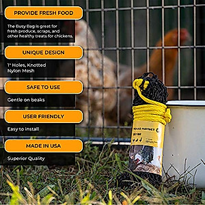 Texas Haynet - Chicken Feeder Busy Bag - American Made Nylon Hanging Feeder Bag - Great for Fresh Treats - Easily Holds with 1" Holes