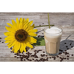 HOGOWARE Reusable Stainless-Steel Metal Drinking Straws with Travel Case and Cleaning Brush, Great for Yeti Tumblers and Smoothies, Rainbow(Variety, 10.5), 4 Pack