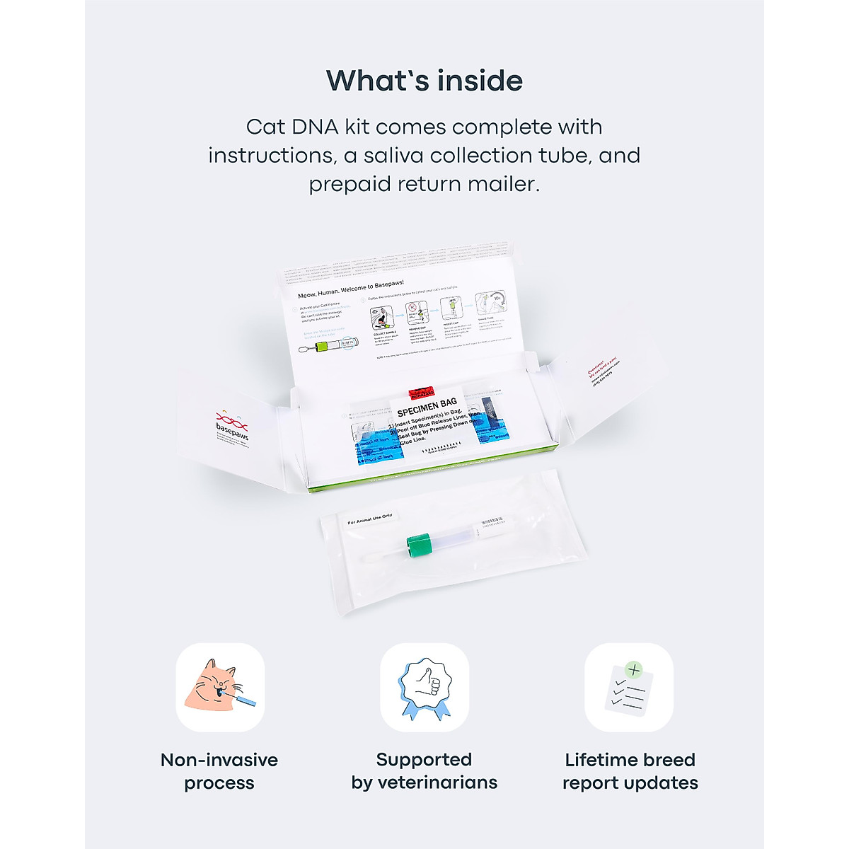 Basepaws Cat Dental Health Test | Provides Risk Scores for Dental Conditions: Periodontal Disease, Bad Breath, Tooth Resorption | Report Provides Personalized Health Care
