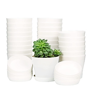 TDHDIKE 25 Pcs Plastic Planters Indoor Flower Plant Pots, Mini Flower Seedlings Nursery Pot with Pallet, Modern Decorative Gardening Containers (White, 25)
