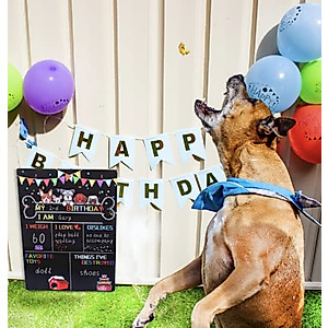 Reusable Dog Birthday Party Supplies, Double Sided Chalkboard for Dog Girl First Birthday, Dog Birthday Backdrop Props, Gift for Cat Party Decorations, Size 10"*12"
