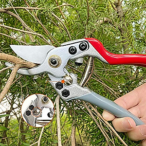 Pruning Shears, Garden Clippers Plant Scissors Professional Bypass Pruner Tree Branch Cutter Plant Trimming Scissors 2 PCS Red