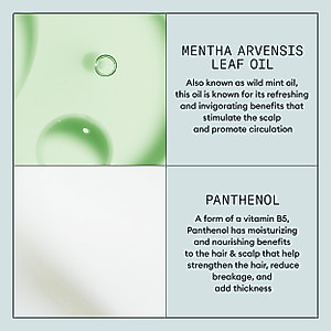 Nioxin Density Defend Styling Volumizing + Thickening Mousse, 6.7 oz (Packaging May Vary)