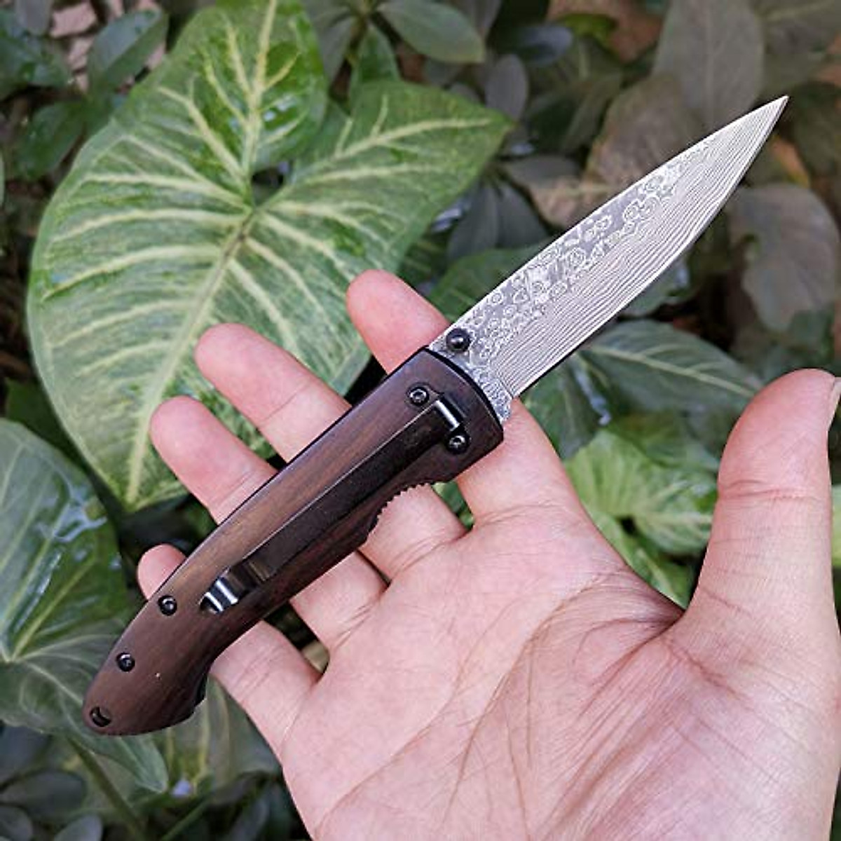 ALBATROSS HGDK005 Black Classic EDC Damascus Folding Pocket Knife, Ebony Wood Handle-Gifts/Collections