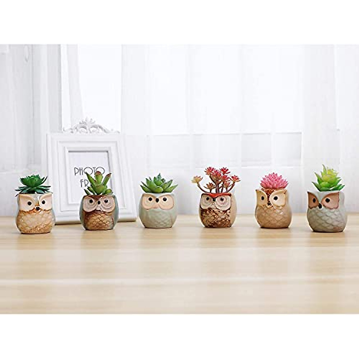 T4U 2.5 Inch Owl Ceramic Succulent Planter Pots with Drainage Hole Set of 12, Flowing Glaze Porcelain Handicraft Plant Holder Container Gift for Mom Sister Aunt Best for Home Office Garden Decoration