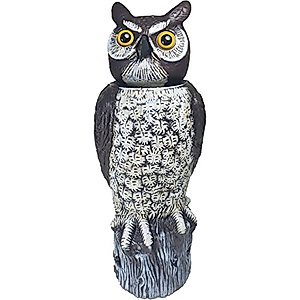 Dalen SOL-R Action Solar Fake Owl Decoy to Scare Birds Away from Gardens, Rooftops, and Patios - Scarecrow Provides Chemical-Free Pest Control - Safe and Humane, 18" 360º Rotating Head