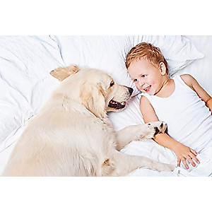 1000-Thread-Count 100% Pure Cotton Bed Sheets -4 Pc Full Size Light Blue Sheet Set, Single Ply Long Staple Combed Cotton Yarns, Best Luxury Sateen Weave, Fits Mattress Upto 17'' Deep Pocket