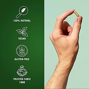 Century Systems The Cleaner Detox, Powerful 14-Day Complete Internal Cleansing Formula for Men, Support Digestive Health, 104 Vegetarian Capsules