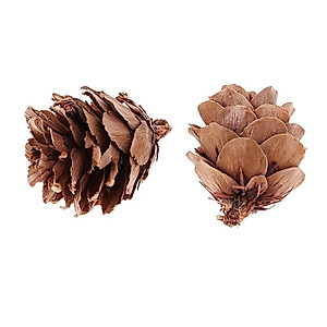chiwanji 40 Pcs Mini Pine Cones Acorns Dried Flowers Christmas Accents Decor Ornaments