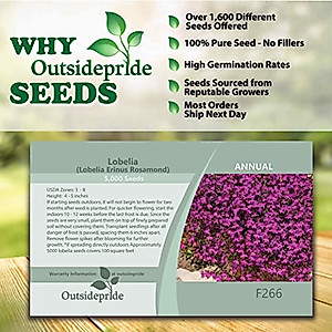 Outsidepride Lobelia Rosamond for Edging Borders, Rock Gardens, Hanging Baskets, Window Boxes, & Ground Cover - 10000 Seeds