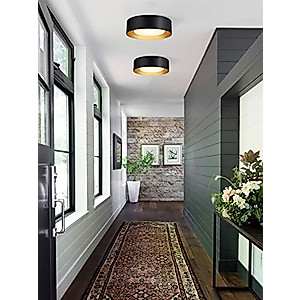 Vikaey Modern Flush Mount Ceiling Light & White Dimmable LED Ceiling Light