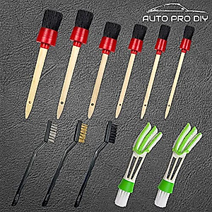 AUTO PRO DIY 11 Piece Car Detailing Kit Set - Car Wheels, Exterior, Interior Cleaning Detail Supplies - Boars Hair, Stainless Steel Wire, Duster Brushes, APD-101