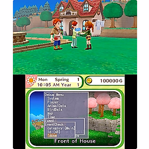 Harvest Moon Skytree Village (Nintendo 3DS)