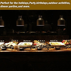 Txhlyx X-Large Buffet Serving Spoon,Square head Spoon,316L Stainless Steel Heavy duty Serving Spoon,Dishwasher Safe 9.5 inches 2Pack