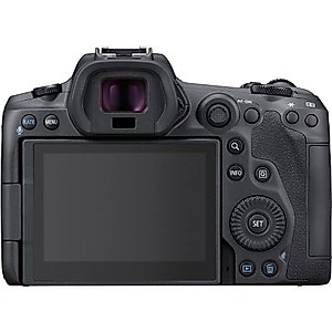 Canon EOS R5 Mirrorless Digital Camera with 24-105mm f/4L Lens (4147C013) + 64GB Memory Card + Case + Corel Photo Software + 2 x LPE6 Battery + External Charger + Card Reader + Light + More (Renewed)