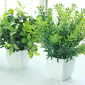 summer flower 2 Pack Fake Plants in White Pot Small Artificial Eucalyptus Potted Plants (Green-01)