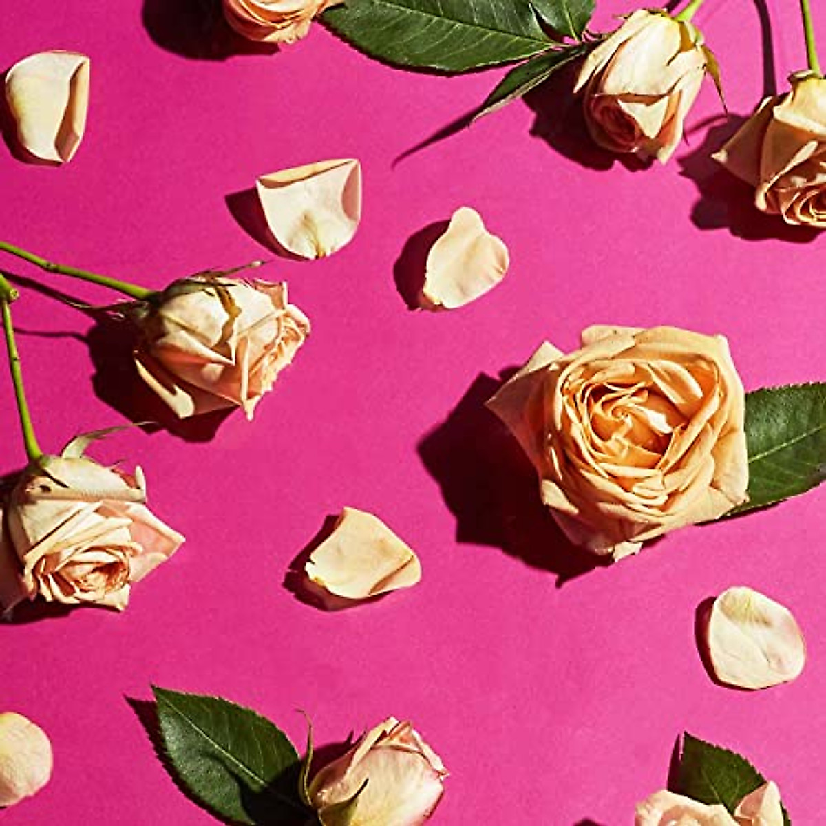 Softsoap Liquid Hand Soap, Soft Rose - 7.5 Fl Oz (Pack of 6)