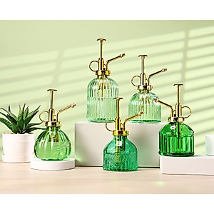 Aebor Glass Plant Mister Spray Bottle, 7.5" Green Glass Water Spray Bottle with Gold Top Pump Small Watering Can, Small Plant Sprayer Mister for Indoor Outdoor House Plant, Green+Gold (Green+Gold E)
